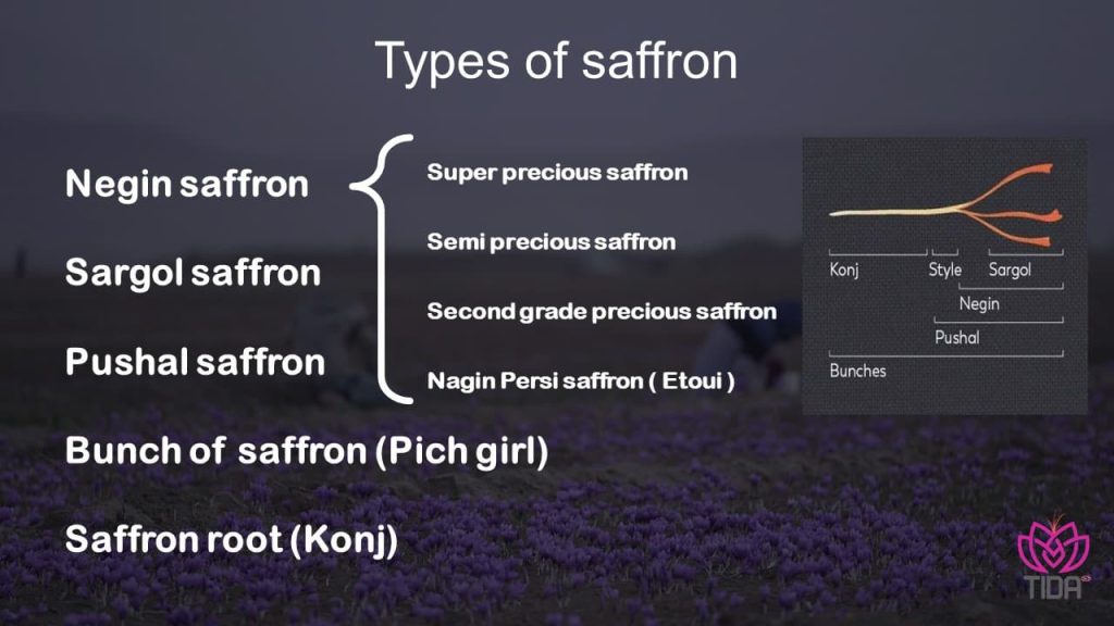 Types of saffron: What You Need to Know - tidasaffron